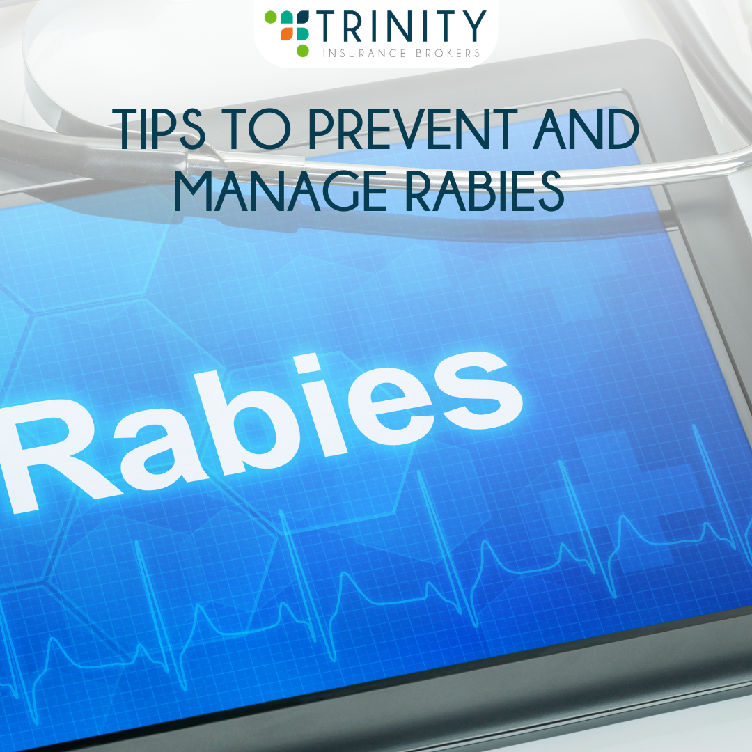 Tips to Prevent and Manage Rabies – Trinity Insurance and Reinsurance ...