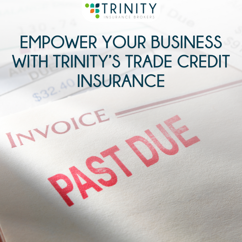 Empower your business with Trinity’s Trade Credit Insurance – Trinity ...