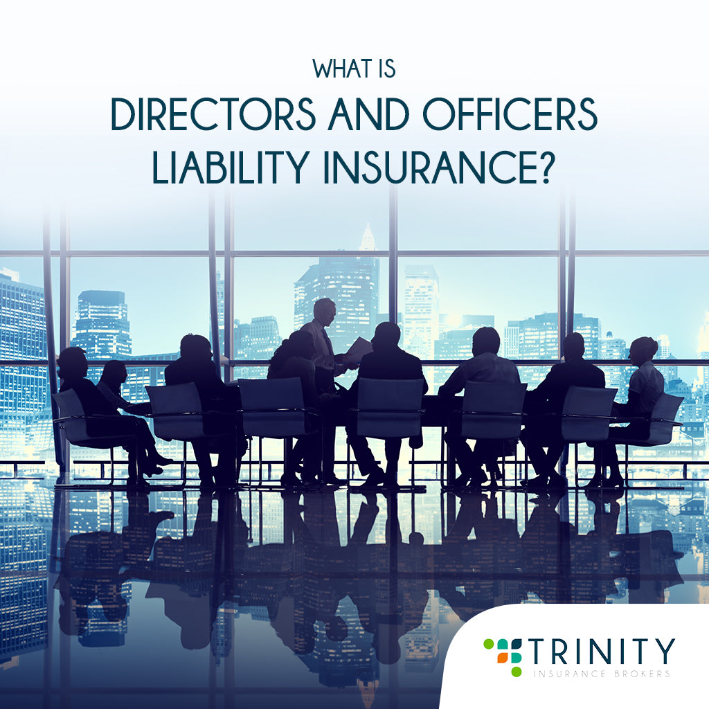 What is Directors and Officers Liability Insurance? – Trinity Insurance ...