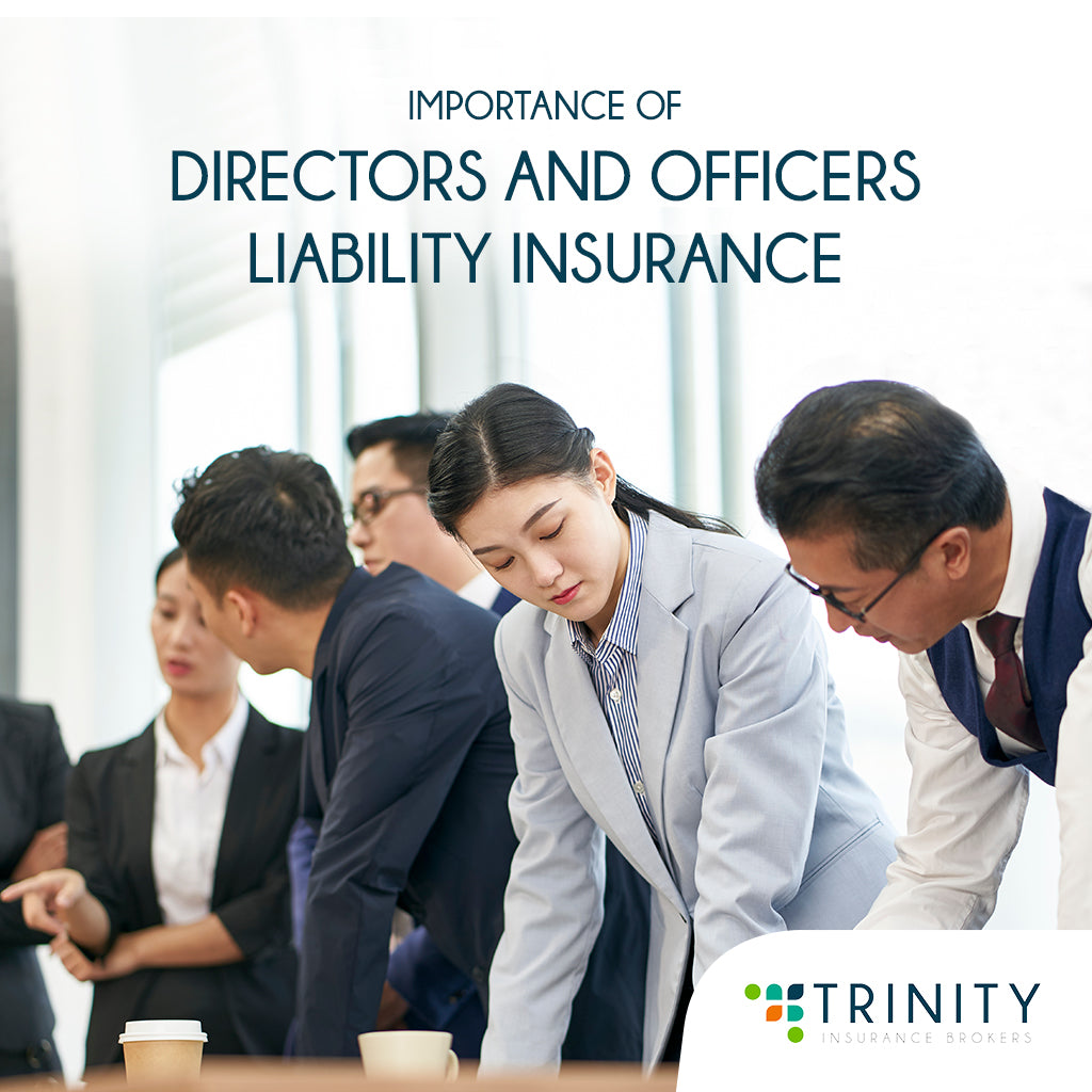 Importance of Directors and Officers Liability Insurance – Trinity ...